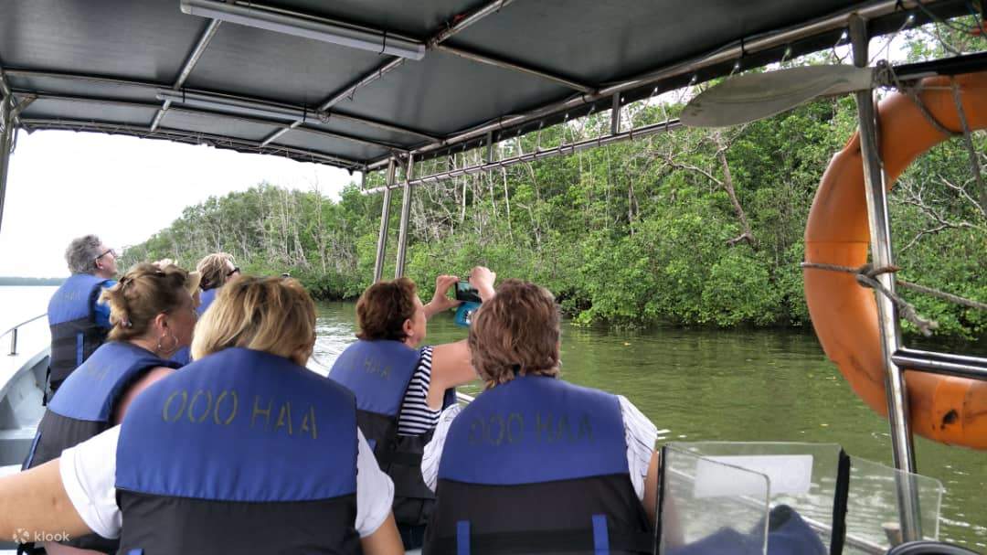 Dolphin Mangrove Cruise and Sarawak Cultural Village Tour in Kuching ...