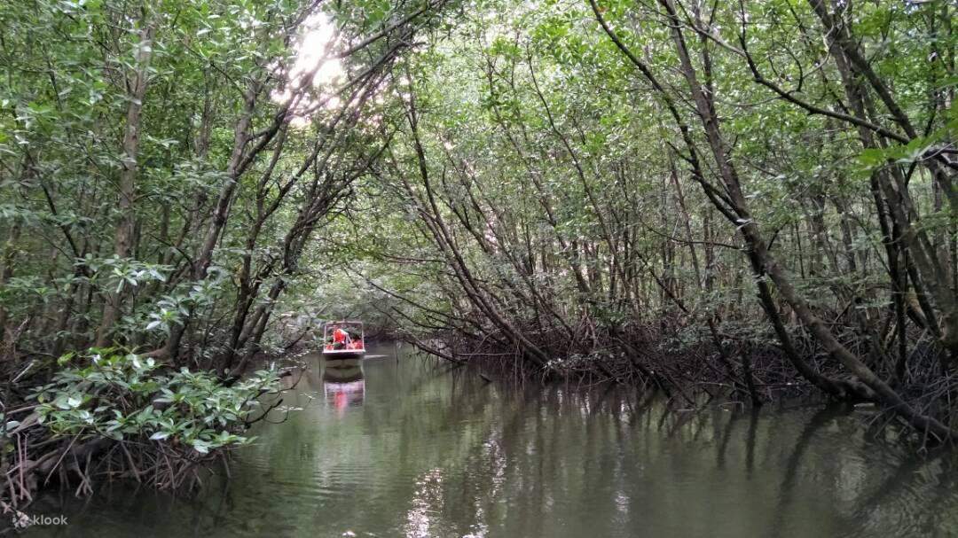 Exclusive Adventure: Private Mengalum Island Snorkeling with Mangrove ...