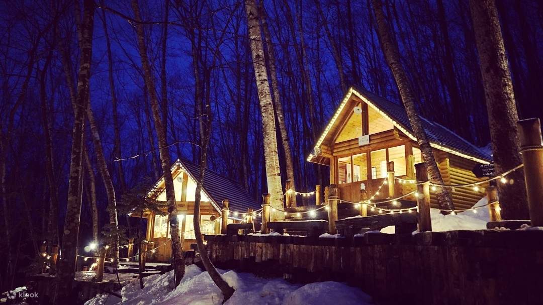 Asahiyama Zoo & Biei & Shikisai-no-oka & Ningle Terrace Day Trip ...