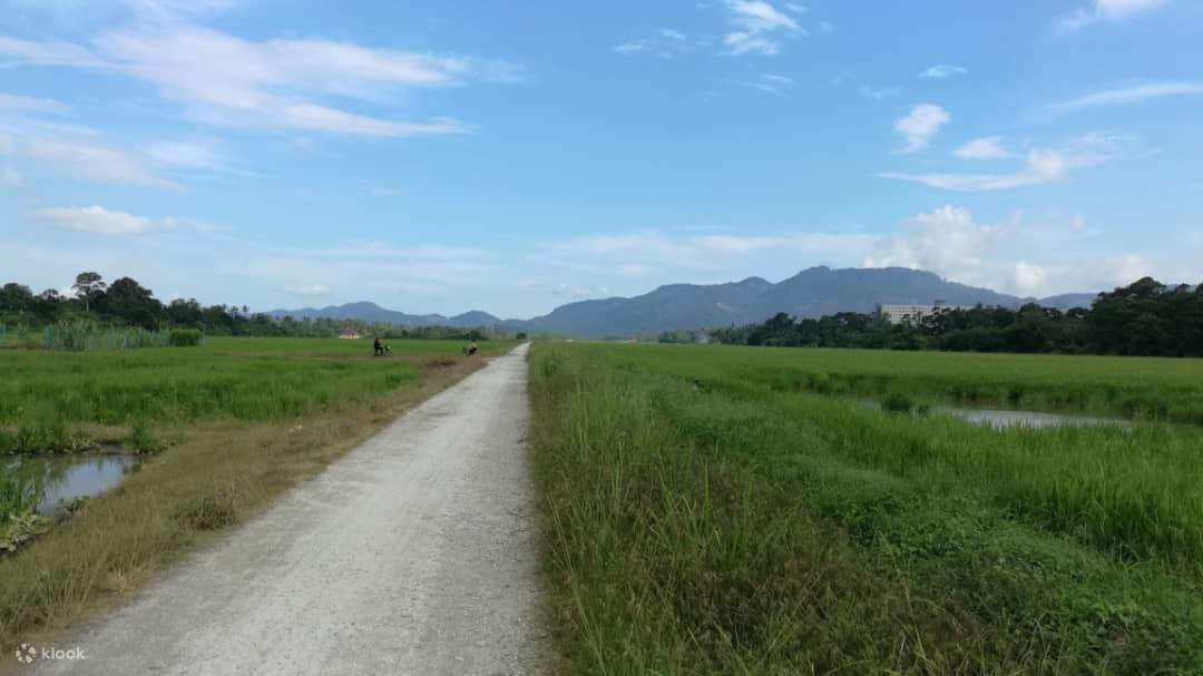 Countryside ATV Ride in Penang Balik Pulau - Klook Singapore