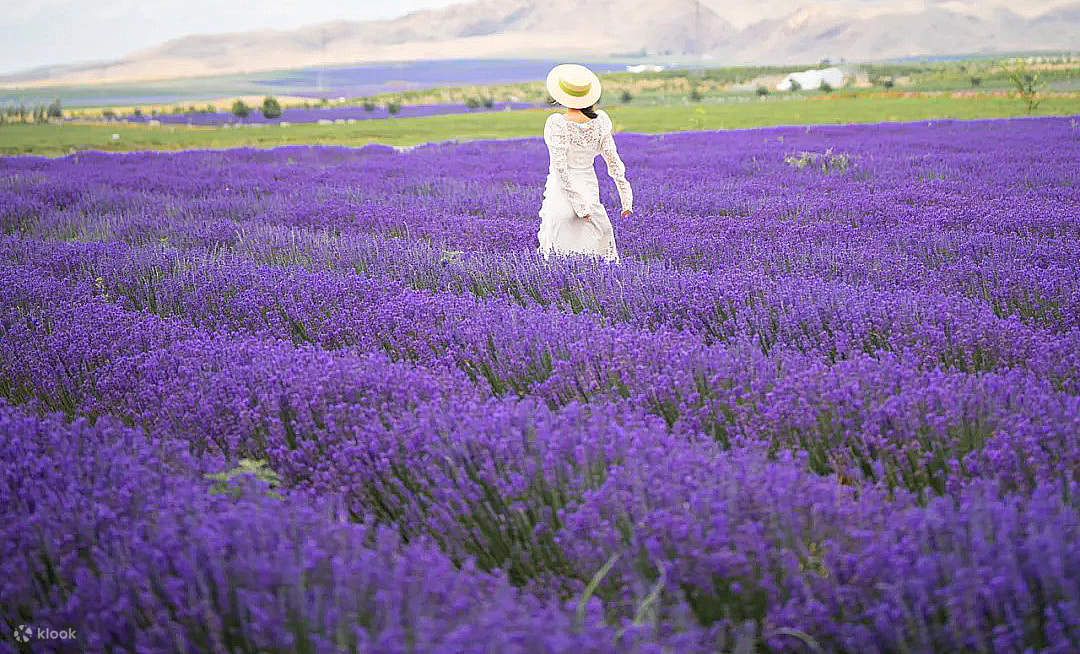 Xinjiang Yili Private 6 Days (Sailimu Lake Sailing Experience + Xiata ...