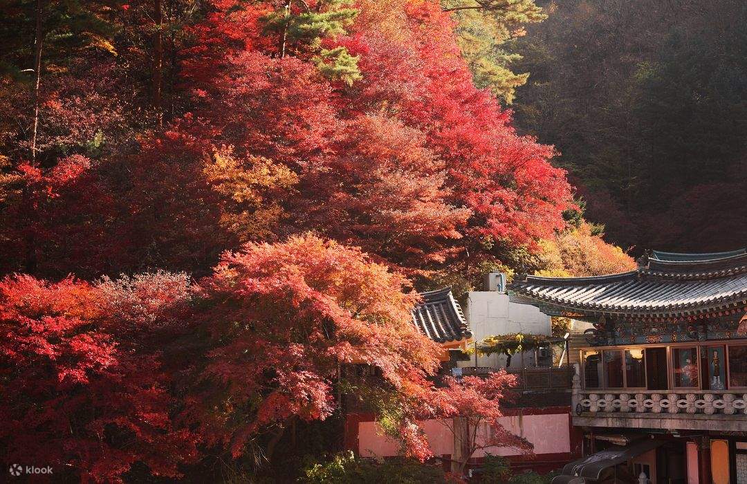 Danyang The Hidden Gem of Korea One Day Tour - Klook