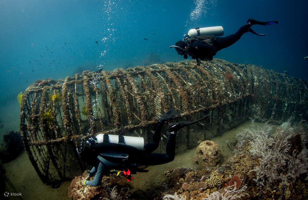 Dive into the depths with PADI Enriched Air Diver - Nitrox in Negros at ...