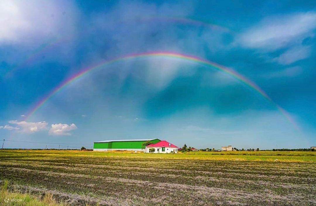 Up to 75% Off | Sekinchan and Kuala Selangor Tours from Kuala Lumpur ...