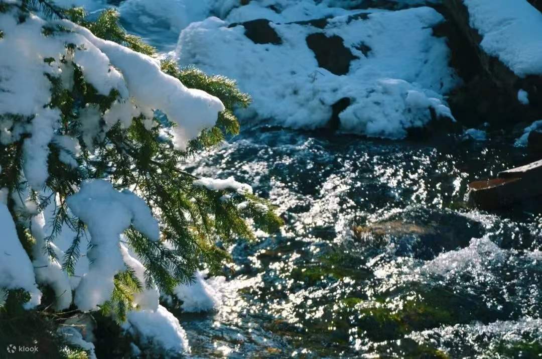 Xinjiang Lechang Three Lakes 8-Day Tour (Tianshan Tianchi + Hemu + Ahe ...