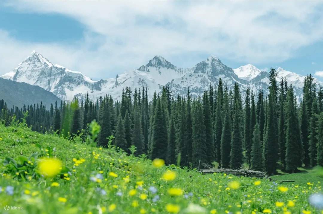 Xinjiang Yili Private 6 Days (Sailimu Lake Sailing Experience + Xiata ...