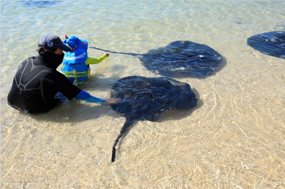 Private Tour to Hainan Sanya Boundary Island + Underwater Palace Diving ...