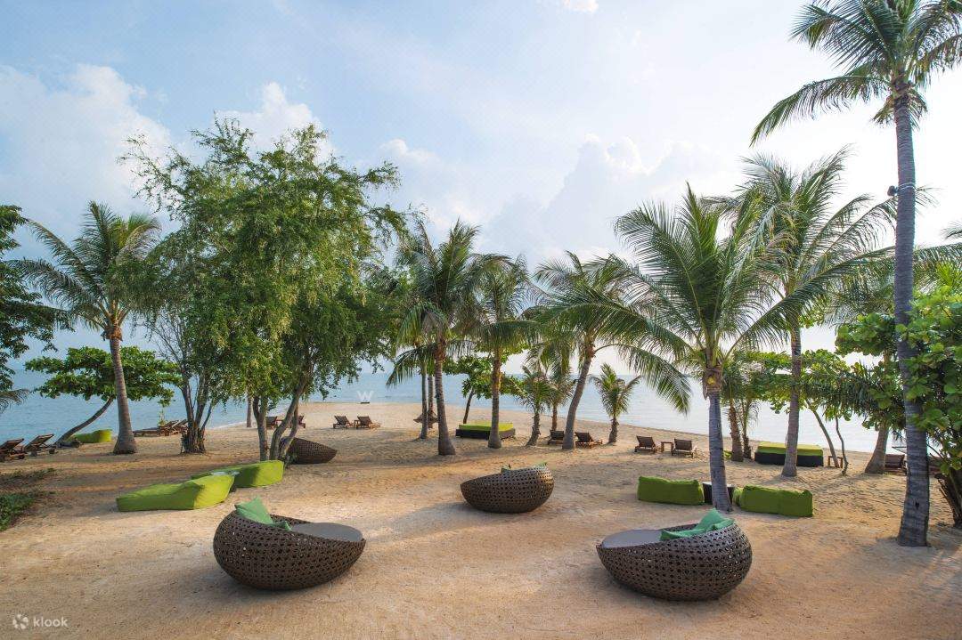 W Koh Samui - Klook India