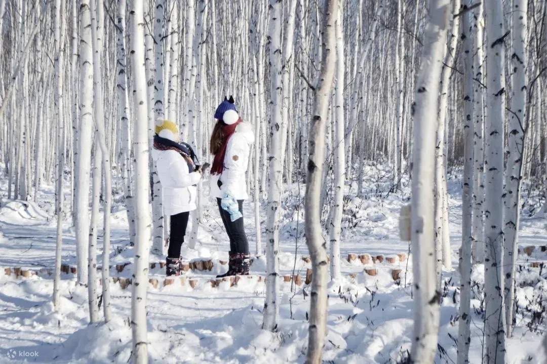 7-Day Snow Tour in Northeast Mohe & Snow Town (Harbin Departure/Return ...