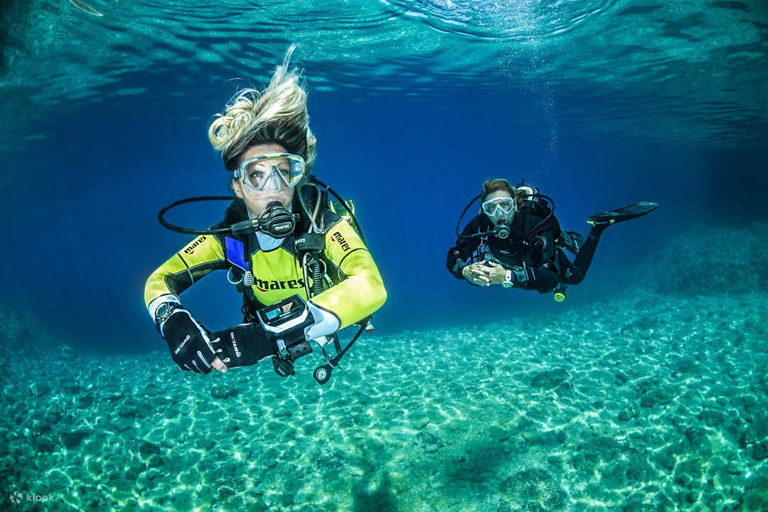 Petualangan Menyelam Scuba Pulau Sapi di Kota Kinabalu, Sabah - Klook ...