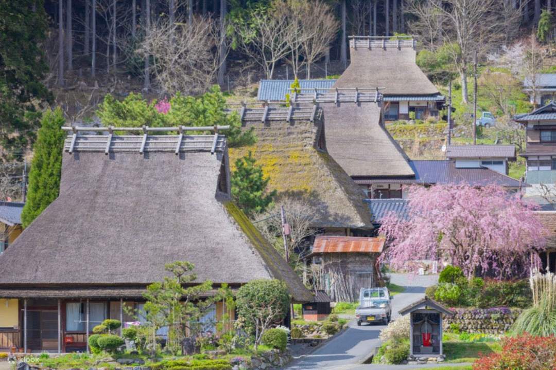 Kyoto Prefecture｜Ine Funaya & Amanohashidate & Miyama Town Gassho Village One Day Tour｜Departure ...