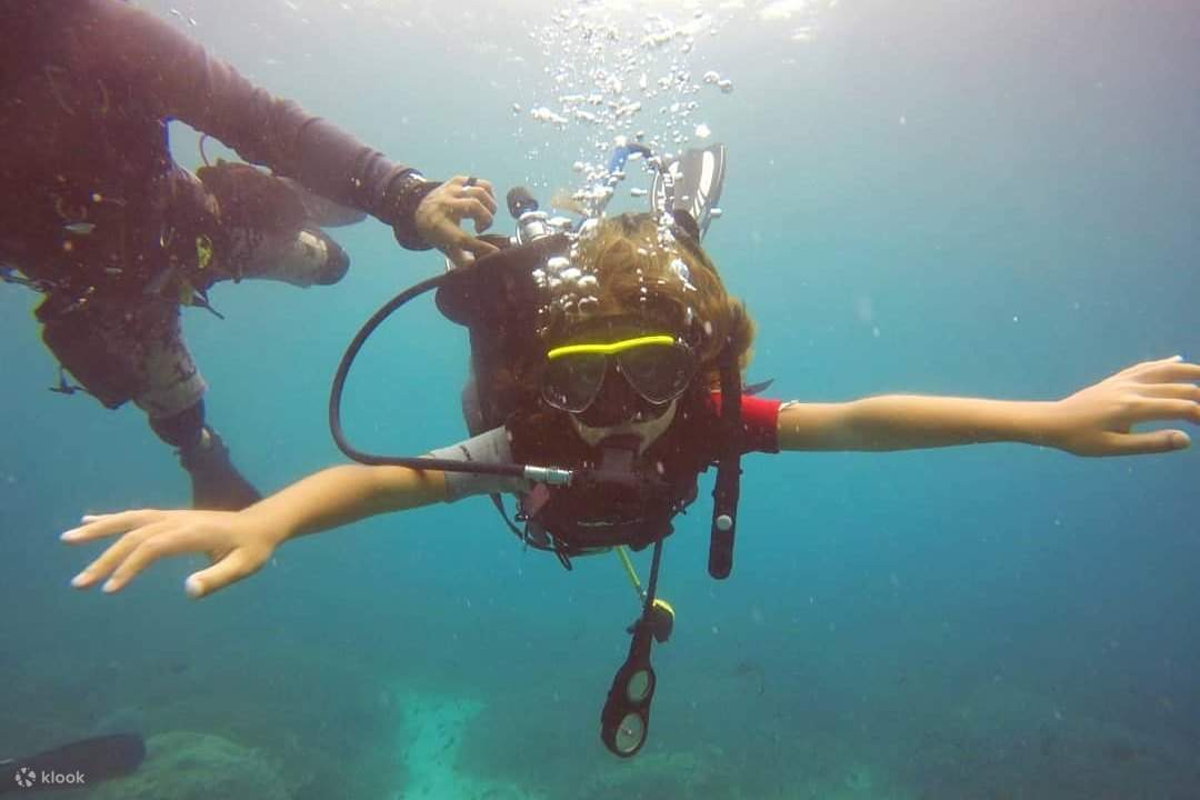 Komodo Scuba Diving Tour - Klook Malaysia