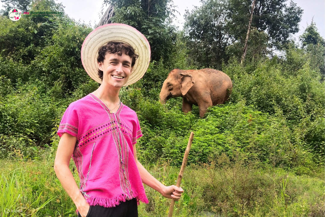 Osservazione degli elefanti a Chiang Mai ed escursioni sul Doi Inthanon ...