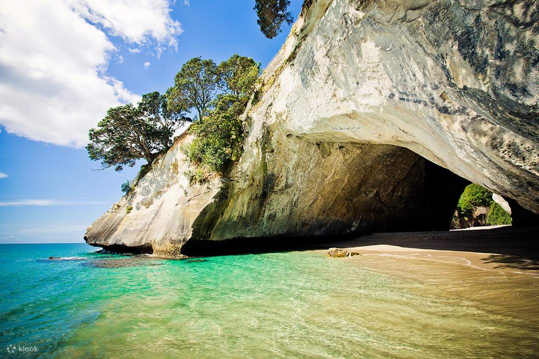 Cathedral Cove & Hot Water Beach Small-Group Day Tour from Auckland ...