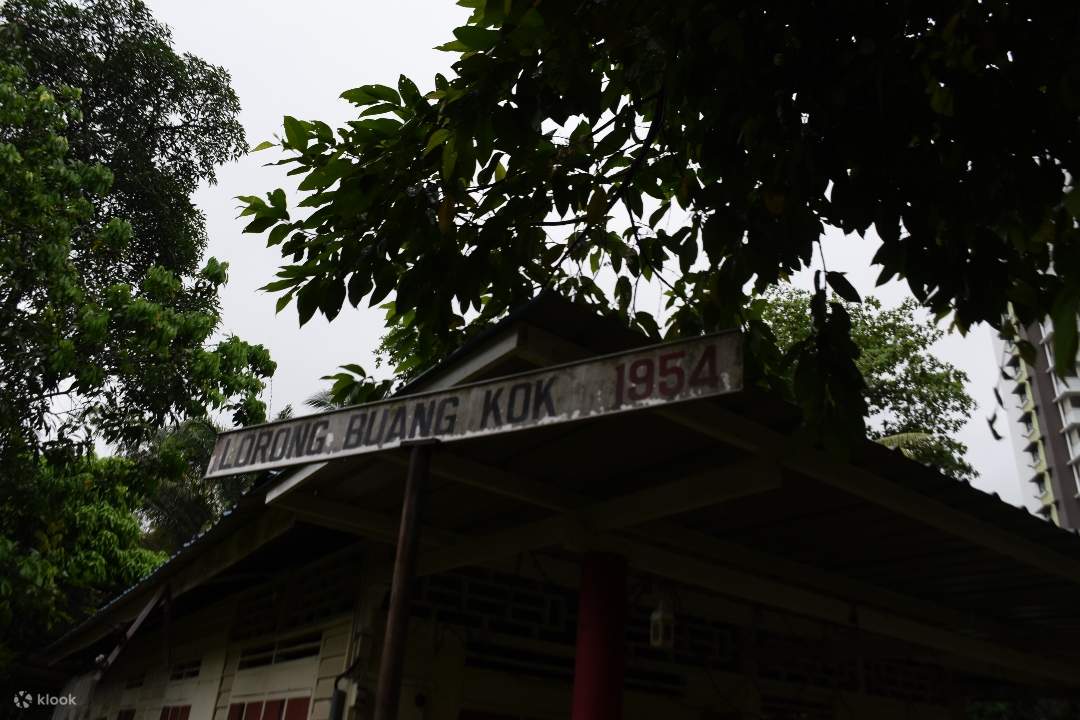 The Last Kampong of Singapore Private Tour - Klook Singapore