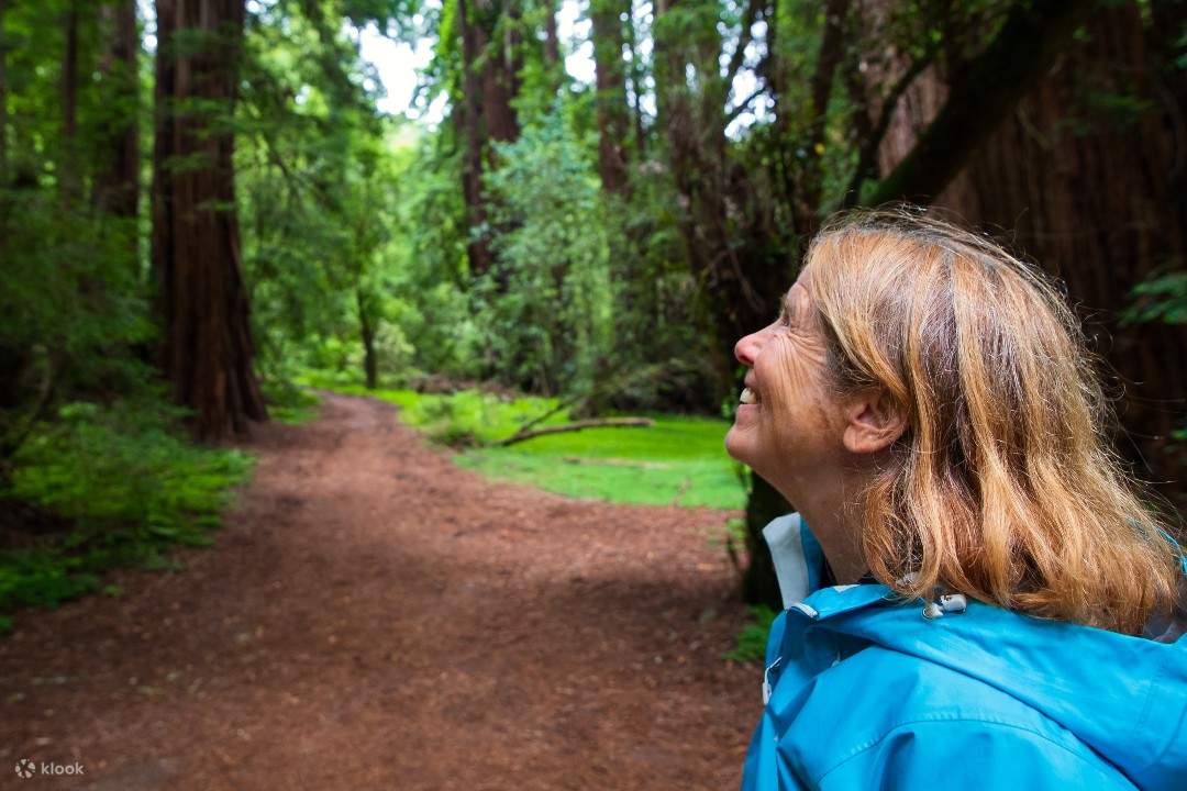 Muir Woods Redwood Forest and Sausalito Tour from San Francisco - Klook