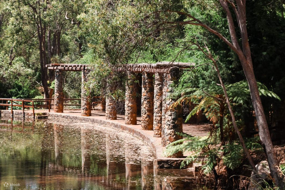 Hidden Secrets Of Araluen Park Guided Hike in Perth - Klook