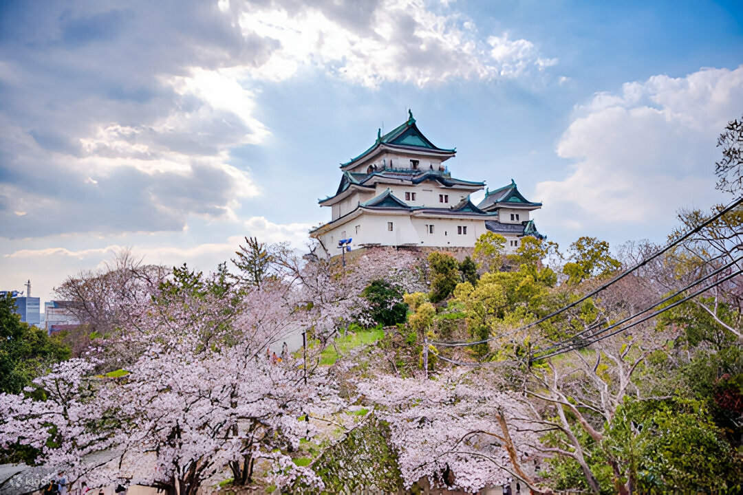 Mount Koya Wakayama & Nachi Waterfall Private Day Tour - Klook United ...