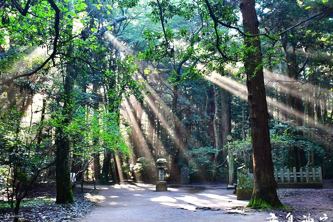 Kashima Shrine, Nakaminato Fish Market, and Oarai Aquarium 1-Day Tour ...