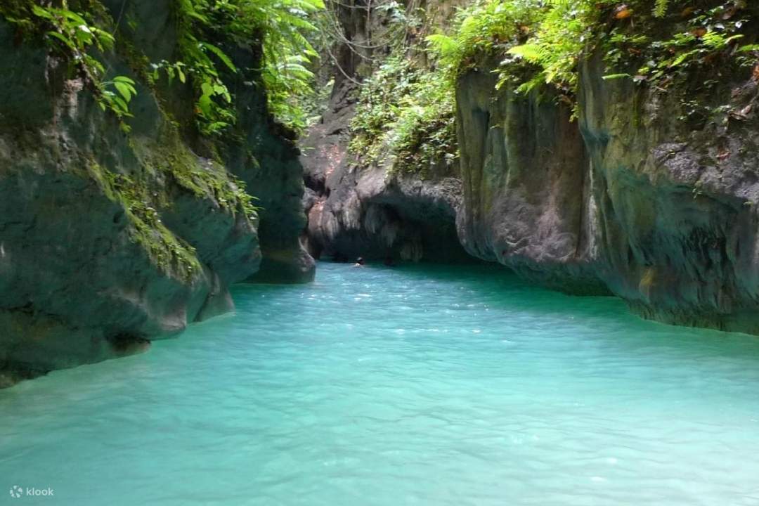 Oslob Whaleshark & Badian Canyoneering Tour in Cebu - Klook Philippines