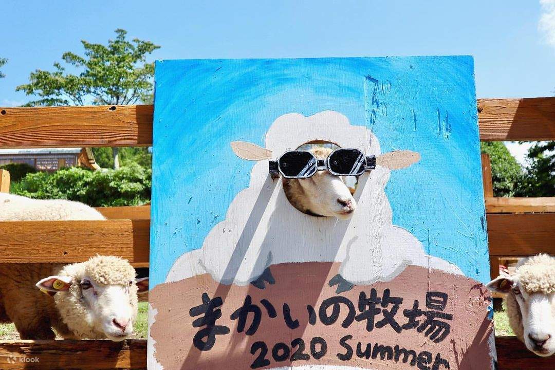 Mount Fuji Family-friendly One-Day Tour: Oishi Park, Lawson Convenience ...