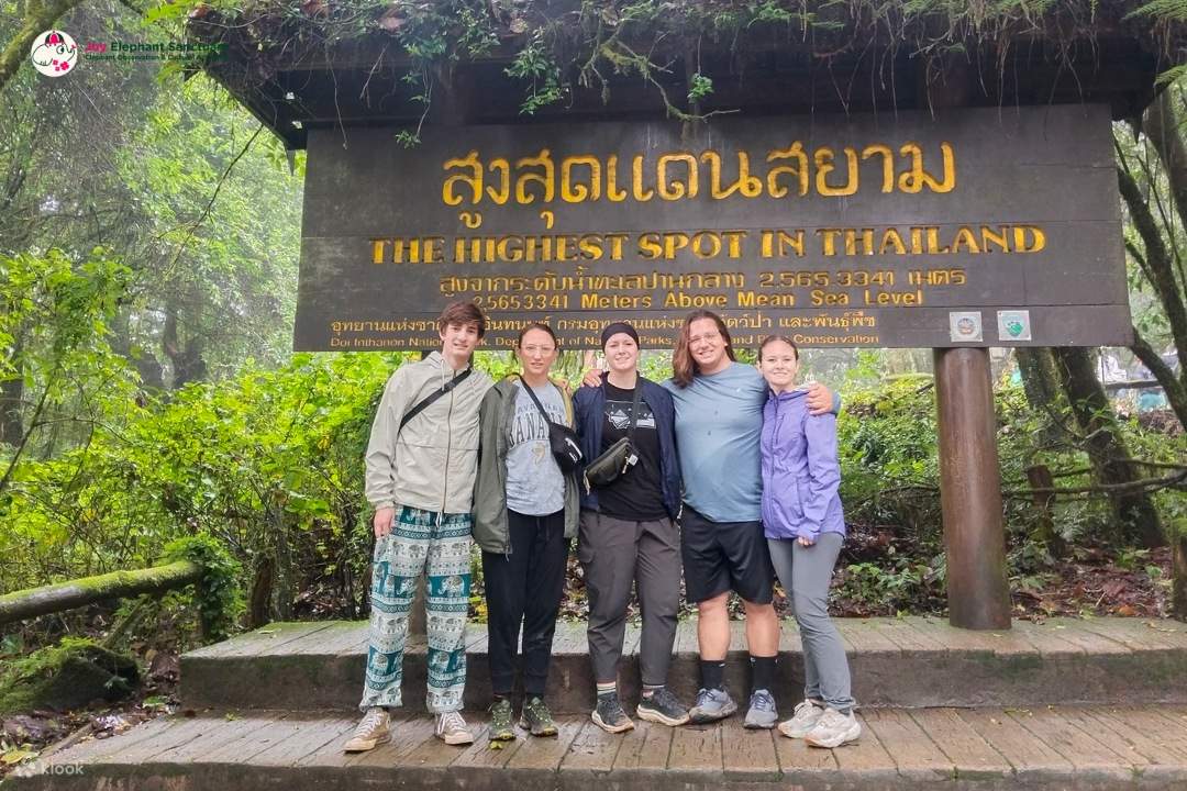 Osservazione degli elefanti a Chiang Mai ed escursioni sul Doi Inthanon ...