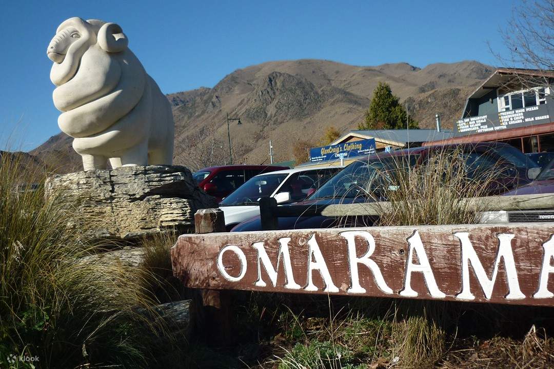 Mount Cook and Hooker Valley Tour from Queenstown - Klook