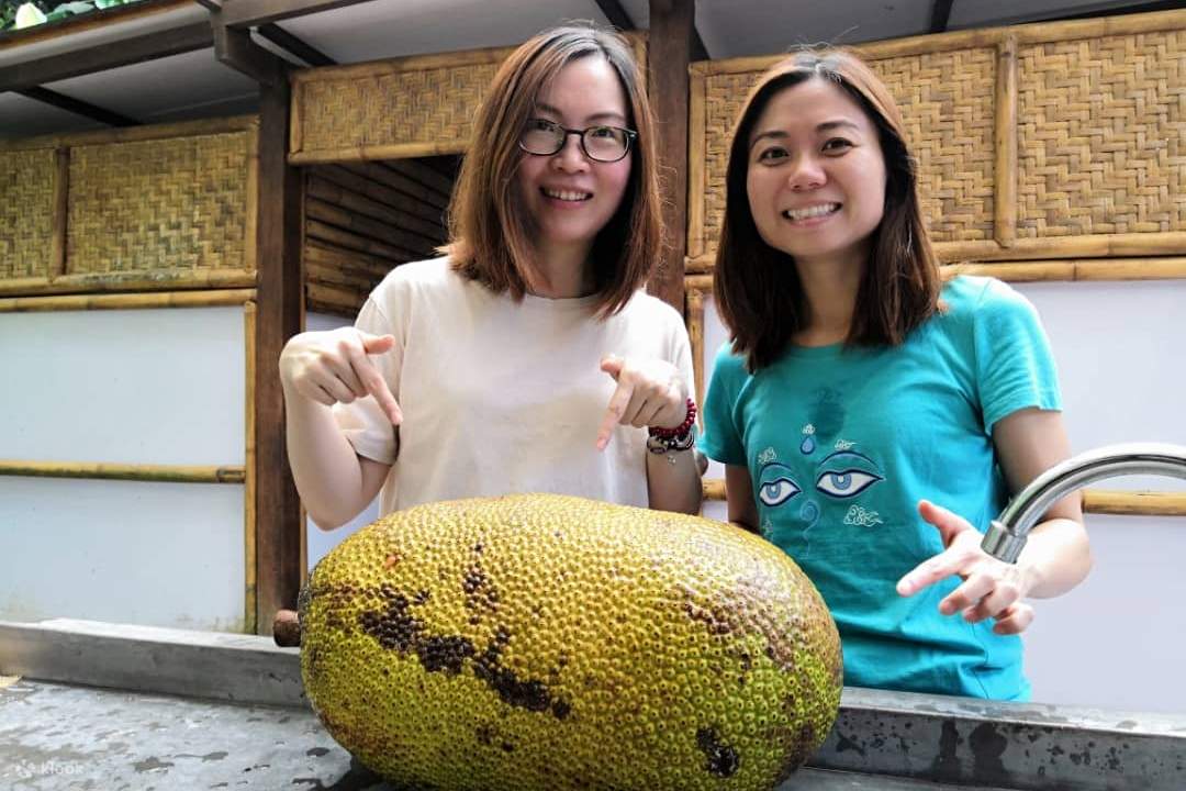 Jalur Pendakian dan Wisata Pertanian Mencicipi Makanan Di Penang ...