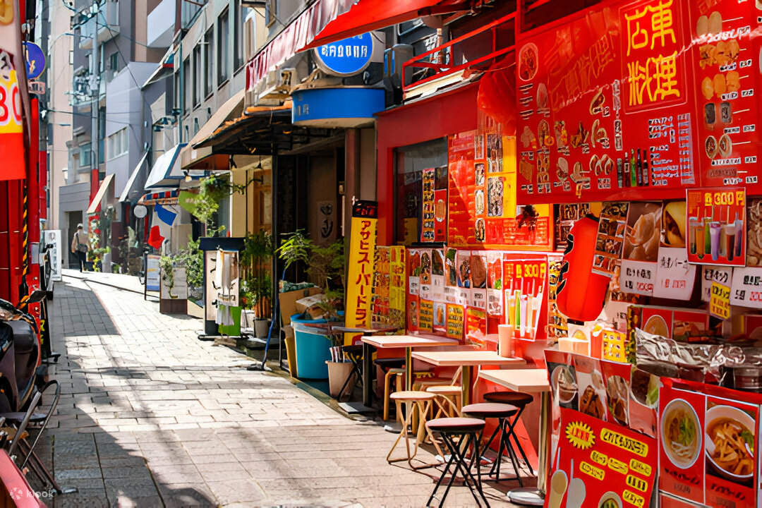 From Tokyo/Osaka/Kyoto Car Rental with Driver For 10 Hours - Klook