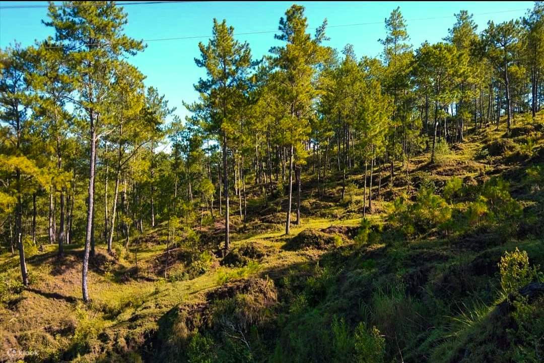 2D1N Sagada Singles Tour - Klook