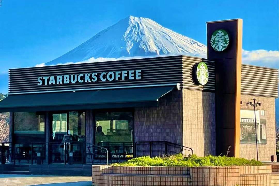 [Cherry Blossom Season Only] Mishima Skywalk & Iwamotoyama Park | Mt ...