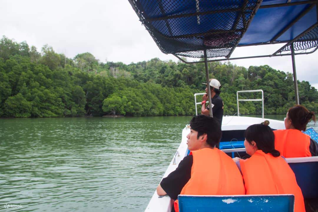 Peri Tuaran Firefly & Mangrove River Cruise Tour in Sabah - Klook