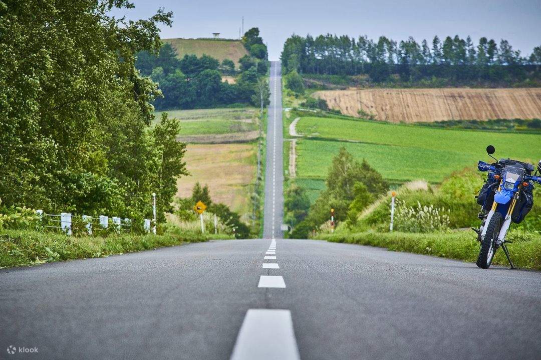 Roller Coaster Road & Biei Blue Pond & Shikisai no Oka & Farm Tomita ...