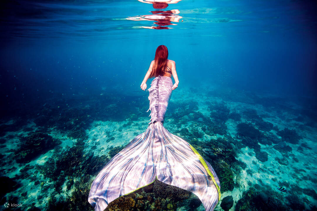 Discover Your Mermaid Side: SSI Try Mermaid Experience in Scuba School ...