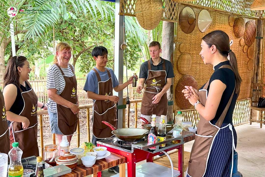 Chiang Mai Elephant Observation & Authentic Thai Cooking Class - Klook ...