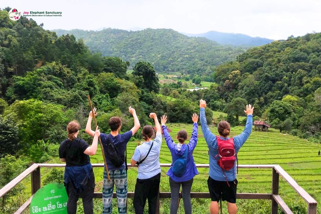 Osservazione degli elefanti a Chiang Mai ed escursioni sul Doi Inthanon ...