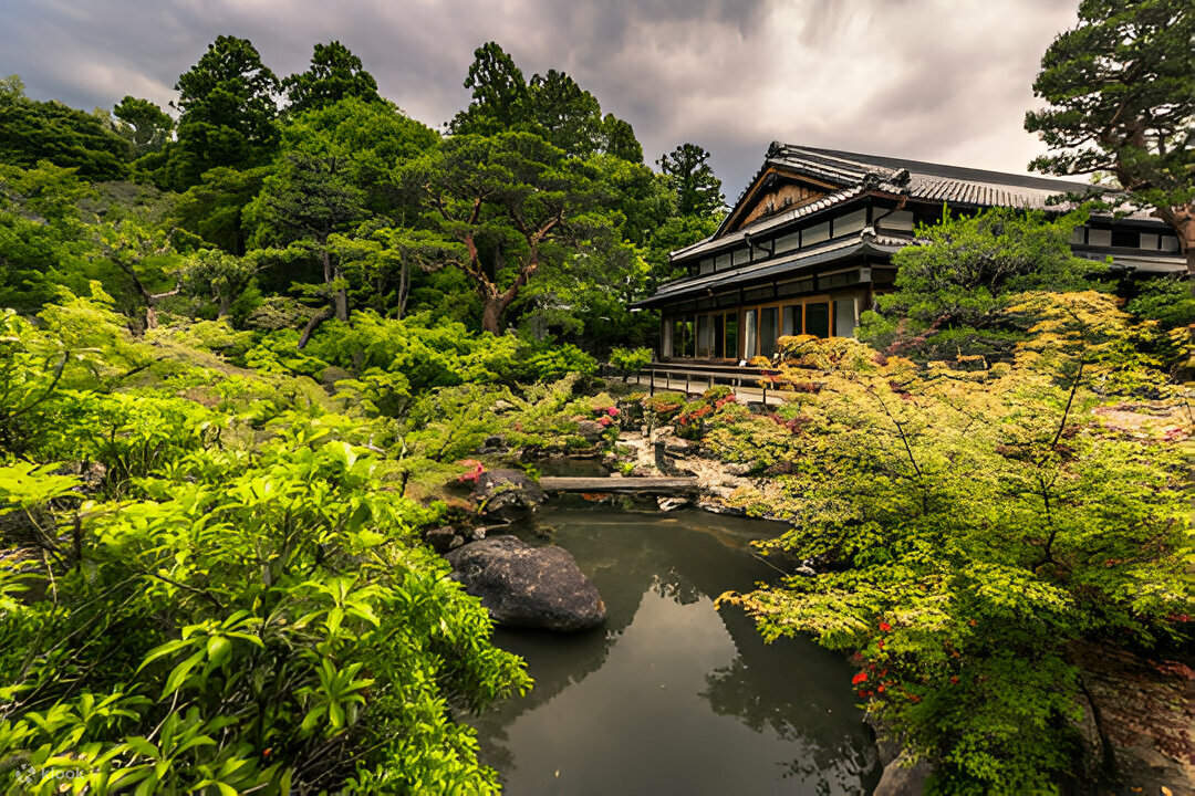 Perjalanan Sewa Mobil Nara yang Dapat Disesuaikan 1 Hari (dari Kyoto ...