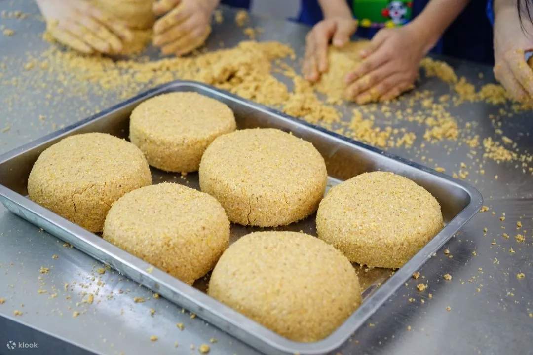 Giant Panda Volunteer Experience Day Tour - Klook Philippines