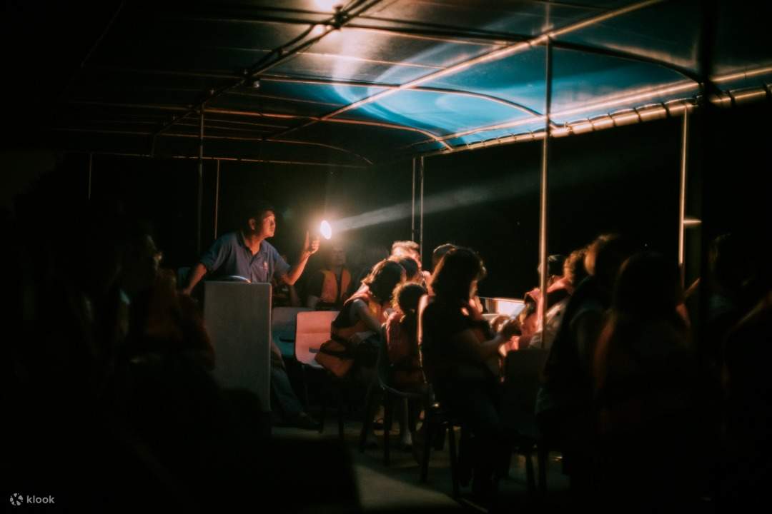 Kota Tinggi Firefly River Cruise Tour in Johor Bahru - Klook Singapore