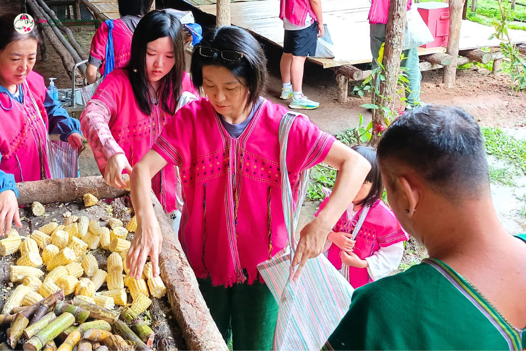 Chiang Mai Elephant Observation & Authentic Thai Cooking Class - Klook ...