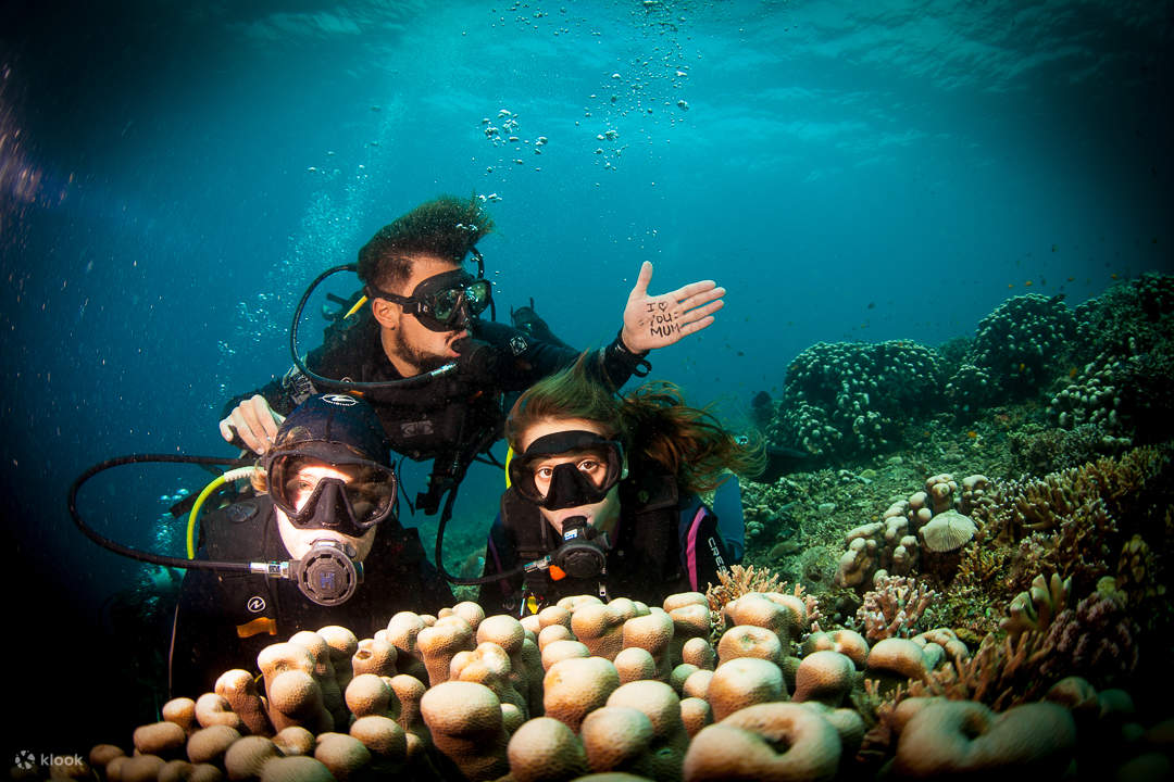 Plongée du bord dans la réserve marine de Dauin à Negros | PADI 5 Star ...