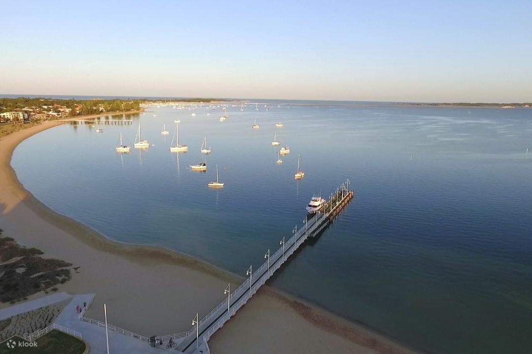 Schwimmen Sie mit wilden Delfinen in Rockingham, Perth - Klook ...