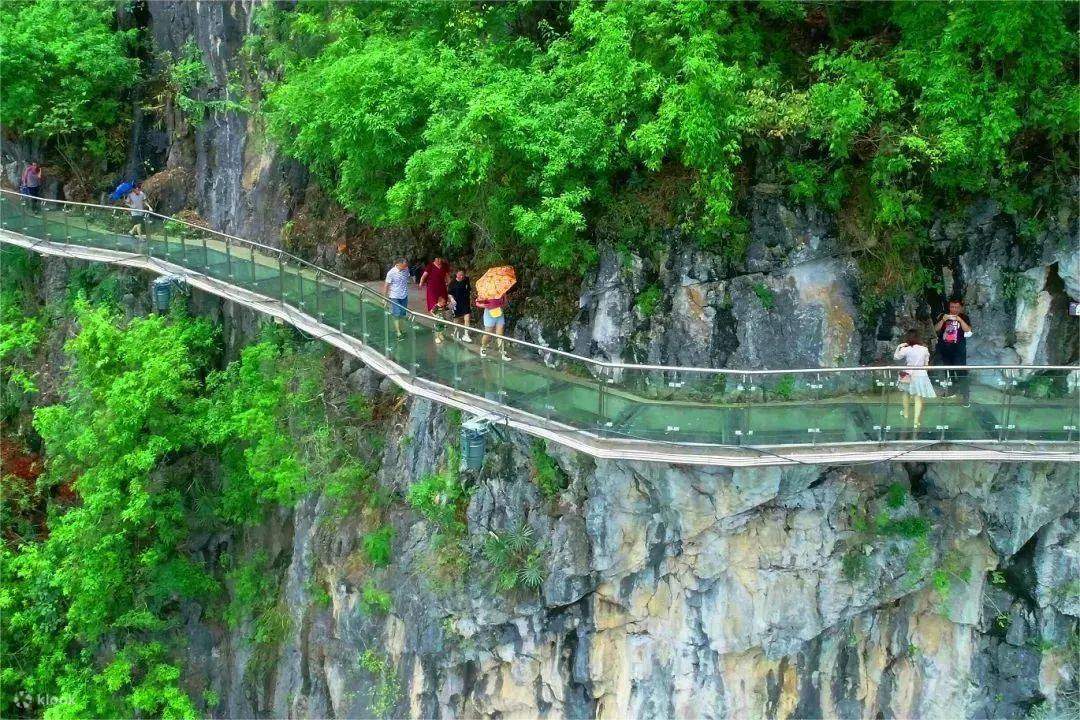 Zhangjiajie Private Guided Day Tour Tianmenshan National Forest Park Glass Plank Road - Klook