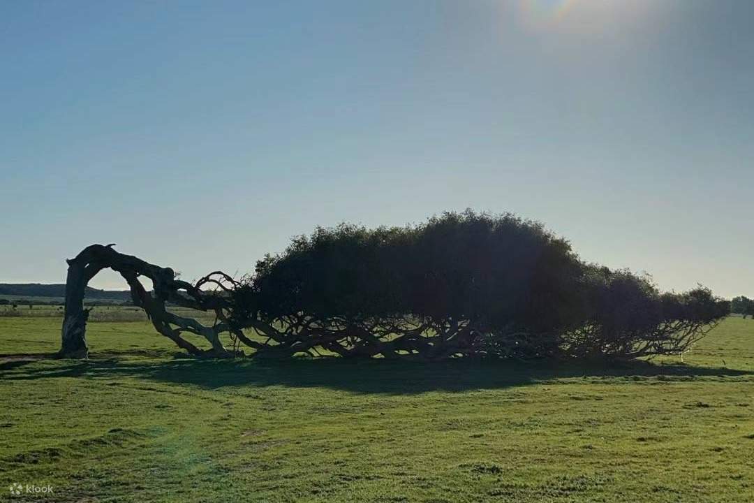 7H6M Tasik Merah Jambu, Natures Window & Pinnacles Tour - Klook Amerika ...