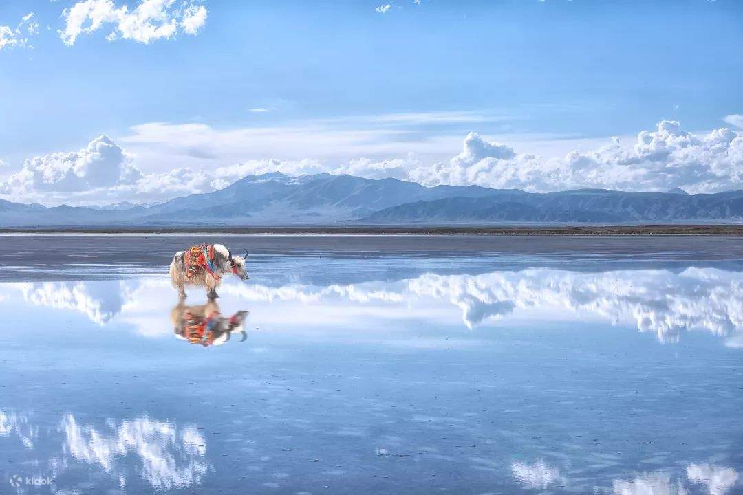 Xining to Chaka Salt Lake Special Car Transfer - Klook India