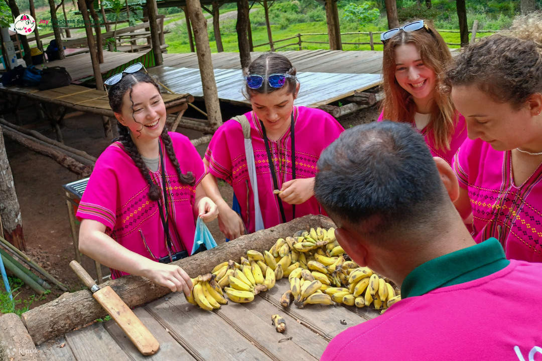 Chiang Mai Elephant Observation & Authentic Thai Cooking Class - Klook ...