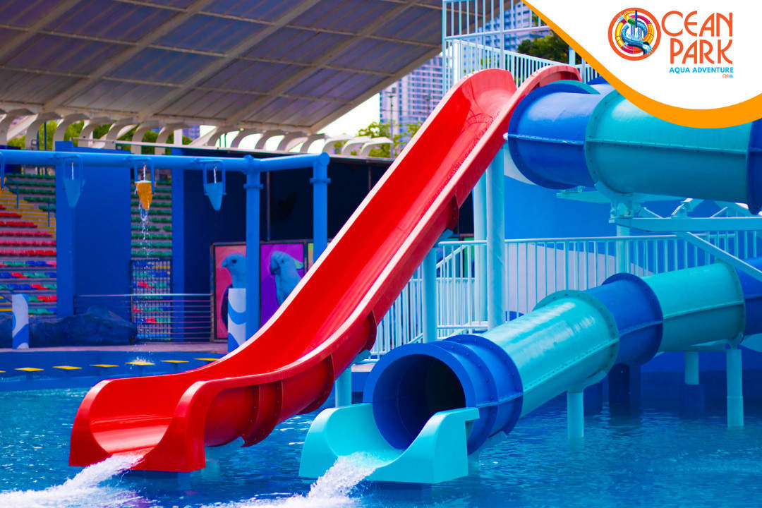 Ocean Park Aqua Adventure - Klook