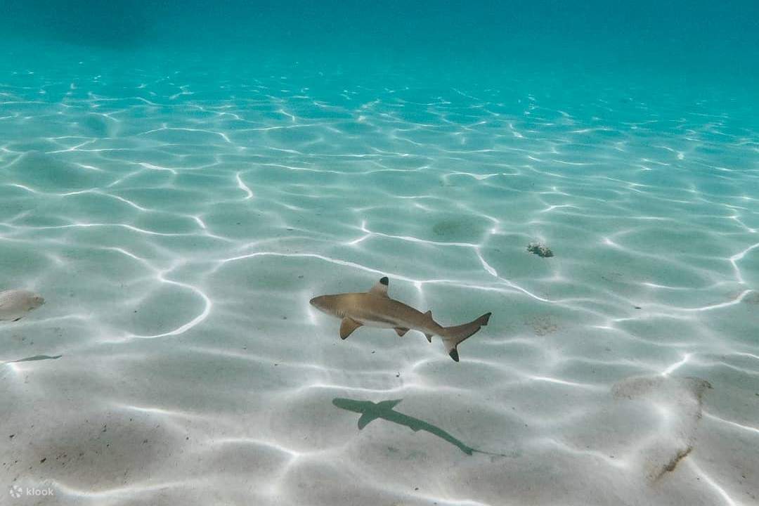 3D2N Mimpi Perhentian Island Resort Full Board dengan Snorkeling & Boat ...