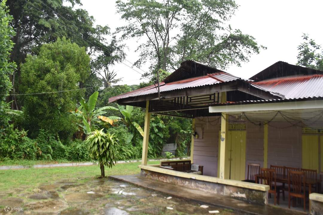 The Last Kampong of Singapore Private Tour - Klook
