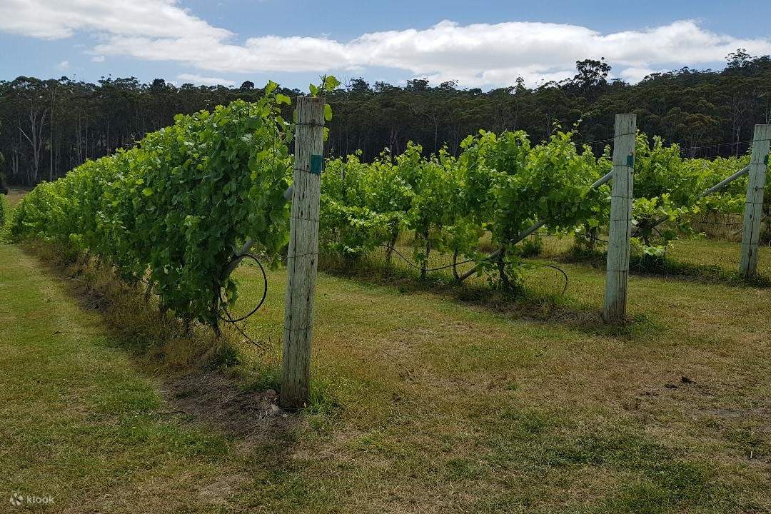 Bruny Island Day Tour - Klook Malaysia